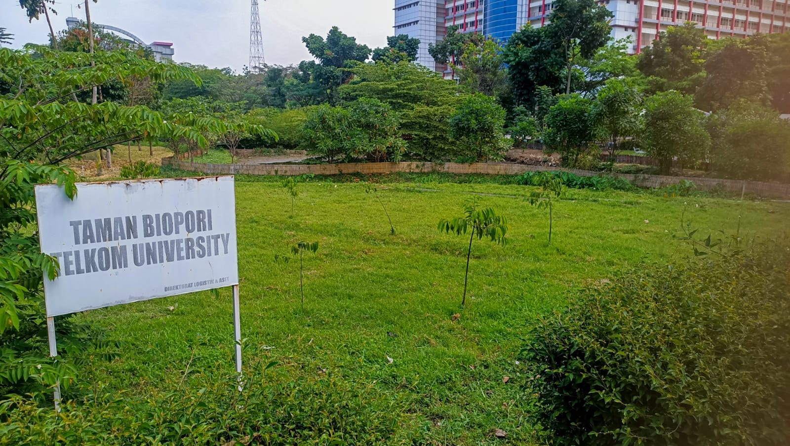 Taman Biopori Tel-U: Konservasi Lingkungan dan Keasrian Alam