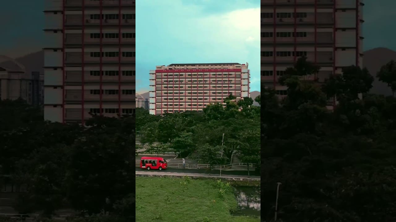 POV JADI BURUNG DI SEKITAR TEL-U – TelUtizen Campus Life